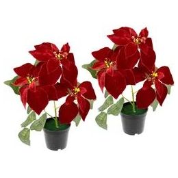Kunstpflanze I.GE.A. "Samt-Poinsettie", rot, B:25cm H:32cm L:18cm, Obermaterial: 90% Polyester, 10% Kunststoff, Kunstpflanzen, Kunstpflanze, im Topf, 2er Set