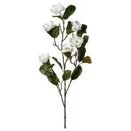 Kunstblume Creativ green "Magnolienzweig", wei&szlig;, H:120cm, Kunststoff, Kunstpflanzen, mit zauberhaften Bl&uuml;ten