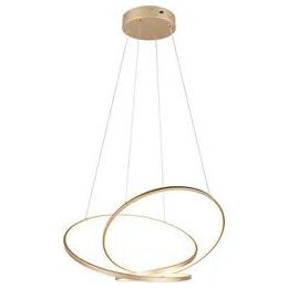 Trio LEUCHTEN LED Pendelleuchte "DARVIN, LED H&auml;ngelampe 52W 6700 Lumen, dimmbar, Lichtfarbe einstellbar", gold (goldfarben), 1, H: 150cm, 1 Stk., Leuchten, CCT 2300/3000/4000K warmwei&szlig;-kaltwei&szlig;, h&ouml;henverstellbar bis max 150cm, LED Pendelleuchte