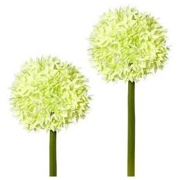 Kunstblume Creativ green, gr&uuml;n, H:65cm, Kunststoff, Kunstpflanzen, 2er Set