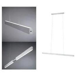 Paulmann LED Pendelleuchte "LED Pendelleuchte Aptare dimmbar", grau (aluminiumfarben), 2, H: 150cm, 1 Stk., Leuchten, Memoryfunktion, LED Pendelleuchte