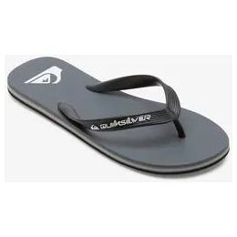 Zehentrenner Quiksilver "MOLOKAI CORE", Herren, Gr. 47, grau, Synthetik, Schuhe Zehentrenner, Sommerschuhe