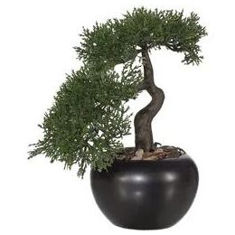 Kunstbonsai Creativ green "Bonsai Zeder im Keramiktopf", gr&uuml;n, H:25cm, Obermaterial: 100% Polyethylen, Kunstpflanzen
