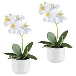 Kunstorchidee Creativ green "Orchidee Phalaenopsis", wei&szlig;, H:27cm, Kunststoff, Kunstpflanzen, mit real-touch-Bl&uuml;ten
