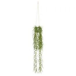 Kunstranke Creativ green "Tillandsia aeranthos im H&auml;ngetopf", gr&uuml;n, B:10cm H:90cm, Kunststoff, Kunstpflanzen, im H&auml;ngetopf aus Kunststoff