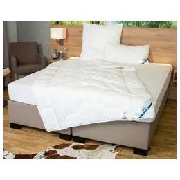Microfaserbettdecke Beco "Beco Medibett MF50 Made in Green 135x200 cm und weitere Gr&ouml;&szlig;en", wei&szlig;, B:135cm L:200cm, Bezug: 100% Baumwolle. F&uuml;llung: 100% Polyester, Bettdecken, Microfaserbettdecke, Made in EU, allergiker geeignet (Hausstauballergiker)