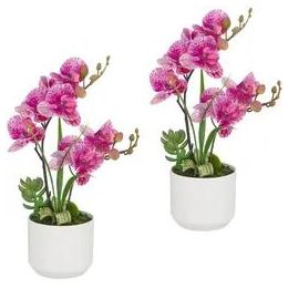Kunstorchidee Creativ green "Orchidee Phalaenopsis", pink (pink, creme), H:30cm, Kunststoff, Kunstpflanzen, mit real-touch-Bl&uuml;ten
