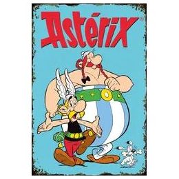 Metallbild LUCKYLINDE "Asterix, Obelix und Idefix", bunt (farbe bild(er): bunt), B:20cm H:30cm T:0,2cm, Stahl, Bilder, Stahlschild 20x30 cm Wanddeko Bild zum Film "Kampf der H&auml;uptlinge"