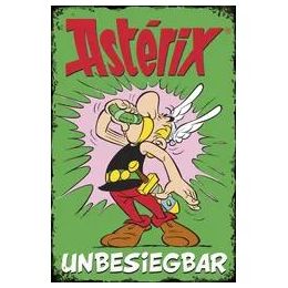 Metallbild LUCKYLINDE "Asterix Unbesiegbar", bunt (farbe bild(er): bunt), B:20cm H:30cm T:0,2cm, Stahl, Bilder, Stahlschild 20x30 cm Wanddeko Bild zum Film "Kampf der H&auml;uptlinge"