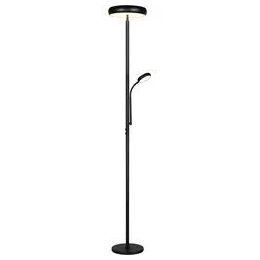 Trio REALITY LEUCHTEN LED Stehlampe "PALERMO, LED Stehleuchte mit Fernbedienung, 27,5W 2000 Lumen CCT", schwarz matt, 2, &Oslash; 28cm H: 183cm, 1 Stk., Leuchten, dimmbar, Lichtfarbe einstellbar 3000-6000K warm-/kaltwei&szlig;, H&ouml;he 183 cm, LED Stehlampe