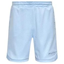 Shorts DROPSIZE "Dropsize Herren Dropsize V2 Mesh Shorts", Herren, Gr. L, US-Gr&ouml;&szlig;en, baby blau, 100% Polyester, normal, Hosen Shorts
