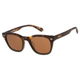 Sonnenbrille Superdry "Modell 996100", Herren, havanna, gemustert, leicht durchscheinend, leicht gl&auml;nzend, Sonnenbrillen Sonnenbrille, Form Karree/Eckig, Logoschriftzug auf B&uuml;gel, Kunststofffassung