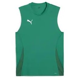 Fu&szlig;balltrikot Puma "TEAMGOAL SLEEVELESS JERSEY", Herren, Gr. S, sport gr&uuml;n, Puma wei&szlig;, power gr&uuml;n, Interlock, Obermaterial: 100% Polyester, unifarben, regular fit normal, Rundhals, Trikots Fu&szlig;balltrikot, f&uuml;r Fu&szlig;ball, &auml;rmellos, sportlicher Stil, aus Interlock-Material
