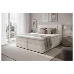 Boxspringbett Home Affaire "Bellissimo, Doppelbett, Polsterbett, Federkernbett, Komforbett", silber, B:165cm L:215cm, 100% PES, Komplettbetten, Boxspringbett, inkl. 9cm Topper, 5-Zonen-Taschen-Federkernmatratze, H&auml;rtegrad 3