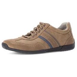 Sneaker PIUS Gabor, Herren, Gr. 11,5 (46,5), braun (hellbraun), Lederimitat, Veloursleder, Schuhe Sneaker, Freizeitschuh, Halbschuh, Schn&uuml;rschuh mit Logo, Weite G (=weit)