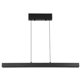 Searchlight LED Pendelleuchte "Linear-LED-Pendelleuchte, Schwarz", Energieeffizienz: G (A-G), schwarz, gefrostet, H: 60cm, 1 Stk., Leuchten, LED Pendelleuchte