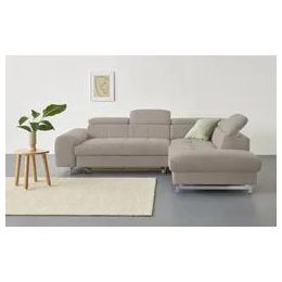 Ecksofa COTTA "Chef L-Form", mud, B:257cm H:72cm T:206cm, Luxus-Microfaser (100% Polyester);Kunstleder Softlux;Leder Advantage (abgedecktes Spalt-Rindsleder), R&uuml;ckseite mit schwarzem Spannstoff bezogen;NaturLEDER (echtes Rindsleder), R&uuml;ckseite mit schwarzem Spannstoff bezogen, Sofas, Ecksofa, mit Kopfteilverstellung, edle Metallkufen, wahlweise mit Bettfunktion