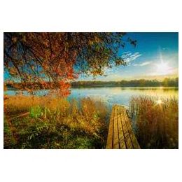 Fototapete papermoon "SEE-LANDSCHAFT-STEG WALD WALD MEER STRAND BOOTE SONNE", bunt, B:2m L:1,49m, Vlies, Tapeten