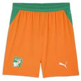 Sporthose Puma "Elfenbeink&uuml;ste Shorts Herren", Herren, Gr. S, Normalgr&ouml;&szlig;en, rickie orange sport gr&uuml;n, Obermaterial: 100% Polyester. Besatz: 12% Elasthan, 88% Polyester. Einsatz: 100% Polyester, regular fit, Hosen Sporthose