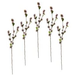 Kunstblume I.GE.A. "Zaubernuss", rot (burgund), B:20cm H:100cm, Obermaterial: 93% Kunststoff, 7% Polyester, Kunstpflanzen, 5er Set
