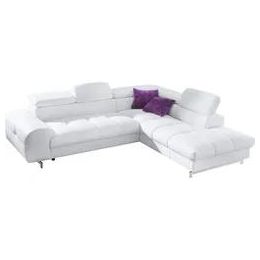 Ecksofa COTTA "Chef L-Form", altwei&szlig;, B:257cm H:72cm T:206cm, Luxus-Microfaser (100% Polyester);Kunstleder Softlux;Leder Advantage (abgedecktes Spalt-Rindsleder), R&uuml;ckseite mit schwarzem Spannstoff bezogen;NaturLEDER (echtes Rindsleder), R&uuml;ckseite mit schwarzem Spannstoff bezogen, Sofas, Ecksofa, mit Kopfteilverstellung, edle Metallkufen, wahlweise mit Bettfunktion