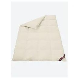 Daunenbettdecke SANNWELL Gr. 3, beige (natur), B:155cm L:220cm, 100% Baumwolle, Bettdecken