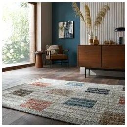 Teppich FLAIR RUGS "ALDER BOUCLE BLOCKS", mehrfarbig, B:140cm H:0mm L:200cm, Oberfl&auml;che: 58% Wolle, 42% Synthetik. R&uuml;ckseite: 58% Wolle, 42% Polyester, Teppiche, Teppich