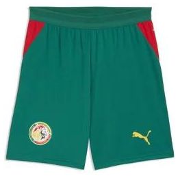 Sporthose Puma "Senegal Shorts Herren", Herren, Gr. L, Normalgr&ouml;&szlig;en, wild gr&uuml;n rot, Obermaterial: 100% Polyester. Besatz: 12% Elasthan, 88% Polyester. Einsatz: 100% Polyester, regular fit, Hosen Sporthose