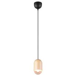 Trio REALITY LEUCHTEN Pendelleuchte "NARA, H&auml;ngelampe inkl. Leuchtmittel 1x E27 806 Lumen 2700K warmwei&szlig;", holzfarben, schwarz, 1, &Oslash; 10,5cm H: 150cm, 2 Stk., Leuchten, H&auml;ngeleuchte in schlichtem Design &Oslash; 11cm, Leuchtmittel wechselbar, Pendelleuchte