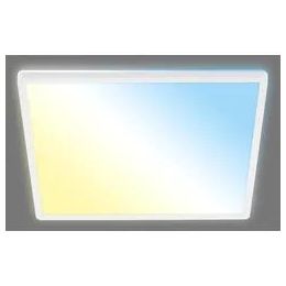 Briloner LEUCHTEN LED Panel "TAVA A 3886016", wei&szlig; matt, Leuchten