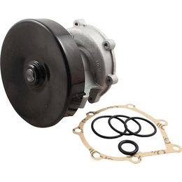 JP Group Wasserpumpe 4114100700 f&uuml;r SAAB RENAULT