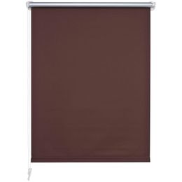Seitenzugrollo Liedeco Gr. 4, braun, B:45cm H:150cm, Polyester, Rollos, Seitenzugrollo