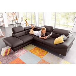 Ecksofa COTTA "Driver L-Form", braun, B:268cm H:73cm T:214cm, Kunstleder SOFTLUX;LEDER BEEFY (ein abgedecktes Spalt-Rindsleder) im Sitz und R&uuml;cken (Korpus in Kunstleder);Luxus-Kunstleder;Leder Pampas (echtes Rindsleder) im Sitz und R&uuml;cken (R&uuml;ckseite mit Spannstoff bezogen), Sofas, Ecksofa, mit Kopfteilverstellung, wahlweise mit Bettfunktion & Bettkasten