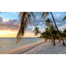Fototapete papermoon "Strand mit Palmen", bunt, B:3m L:2,23m, Vlies, Tapeten