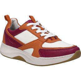 Sneaker Josef Seibel "Elli 09, magenta-multi", Herren, Gr. 36, rot (magenta, multi), Obermaterial: 100% Rindsleder Leather cow., Schuhe Sneaker