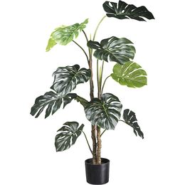 Splitphilodendron, Kunststofftopf, H&ouml;he 1400 mm kaiserkraft