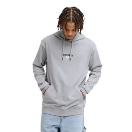 Kapuzensweatshirt DC Shoes "Vantura", Herren, Gr. S, light erdgrau, Obermaterial: 80% Walkfrottier, 20% Microfaser;, Sweatshirts Kapuzensweatshirt