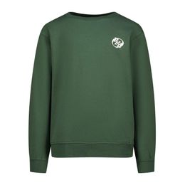 Raizzed Sweatshirt in Gr&uuml;n - 50% | Gr&ouml;&szlig;e 92 | Kinder-sweatshirts-jacken