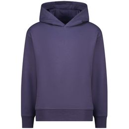 Raizzed Hoodie in Violett - 55% | Gr&ouml;&szlig;e 140 | Kinder-sweatshirts-jacken