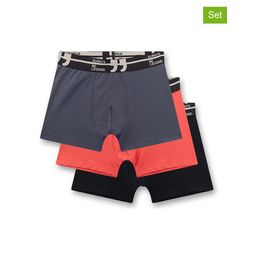 Sanetta 3er-Set: Boxershorts in Orange/ Schwarz/ Anthrazit - 32% | Gr&ouml;&szlig;e 164 | Kinder-waesche