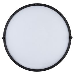 Showtec Beam Shaper for Lumina Beam