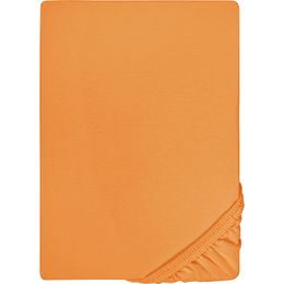 Spannbettlaken Biberna "Marc", orange (nektarine), L:200cm, Jersey, Obermaterial: 100% Baumwolle, Bettlaken, Spannbettlaken, aus Baumwolle, f&uuml;r Matratzen bis 22 cm H&ouml;he, Bettlaken, Spannbetttuch