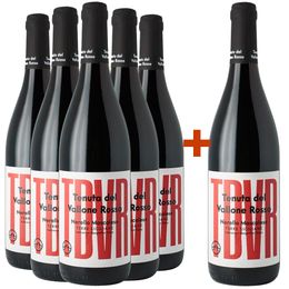 Tenuta del Vallone Rosso 5+1 Paket TDVR Terre Siciliane Nerello Mascalese 2022 Trocken - Sizilien &ndash; Probierpaket IGP