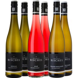 Weingut Bischel Kennenlern-Paket 2024 Trocken - Rheinhessen &ndash; Probierpaket VDP.Gutswein