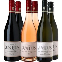 Weingut J. Neus Kennenlern-Paket J.Neus Trocken - Rheinhessen &ndash; Probierpaket Diverse