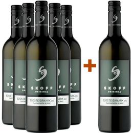 Weingut Walter Skoff 5+1 Paket S&uuml;dsteiermark DAC Sauvignon Blanc 2025 - &ndash; Probierpaket Qualit&auml;tswein
