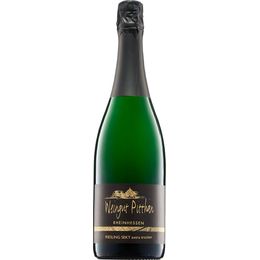 Weingut Pitthan Riesling 2023 Extra Trocken - Rheinhessen &ndash; Perl- & Schaumwein Sekt