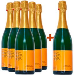 Wein- und Sektgut Schreier 5+1 Paket Hausmarke Sekt Riesling Trocken - Pfalz &ndash; Probierpaket Deutscher