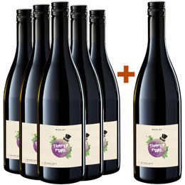 Weingut Michael Opitz 5+1 Paket "Simply Pure" BIO Merlot 2022 - Burgenland &ndash; Probierpaket Landwein