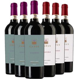 carus Chianti Classico Kennenlern-Paket Trocken - Toskana &ndash; Probierpaket DOCG